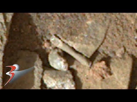 PERSEVERANCE ROVER Long Cylindrical Object Spotted on Sol 564