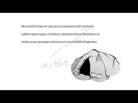 LatinPerDiem Latin Lesson, Jerome Vita Pauli, 7