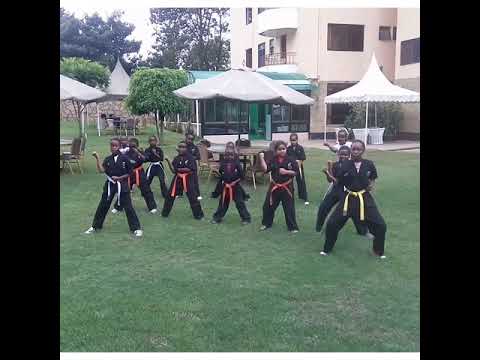 Basic form3 kenpokarate at sunshine upperhill hotel Kericho