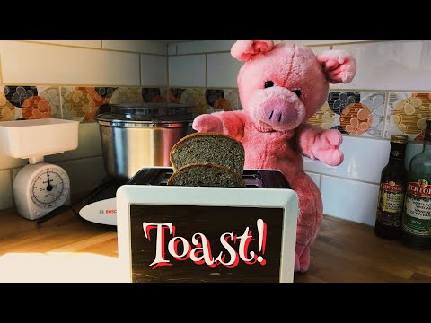 Put the Toast in the Toaster rhyme