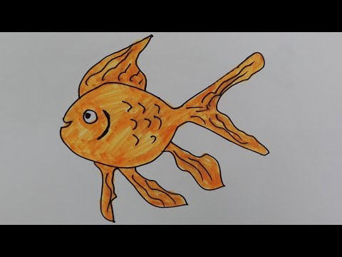 How to draw goldfish-draw a realistic goldfish-goldfish drawing easy ...