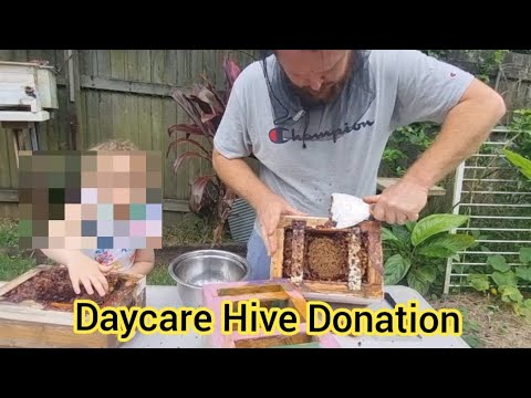Daycare 🐝 Hive 🎁 Donation.