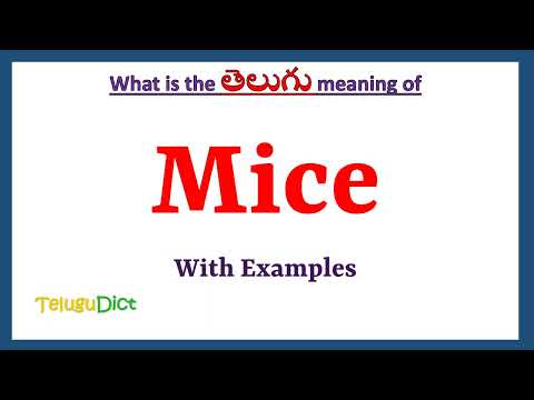 Mice Meaning in Telugu | Mice in Telugu | Mice in Telugu Dictionary |