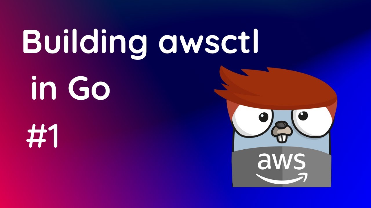 Building awsctl in Go #1