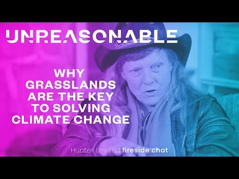 Why Grasslands are the Key to Solving Climate Change | Hunter Lovins