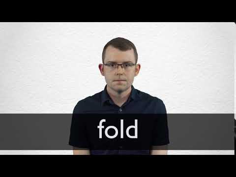 FOLD definition and meaning | Collins English Dictionary