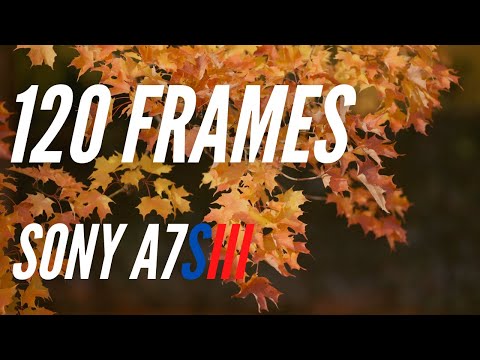 120 frames ft. Sony A7siii - 4k 120 fps