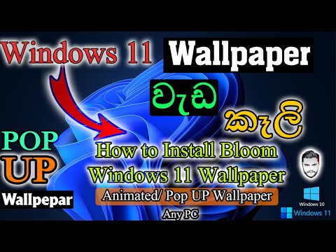 Bloom Windows 11 Desktop Wallpaper | How to bloom Windows 11 logo ...