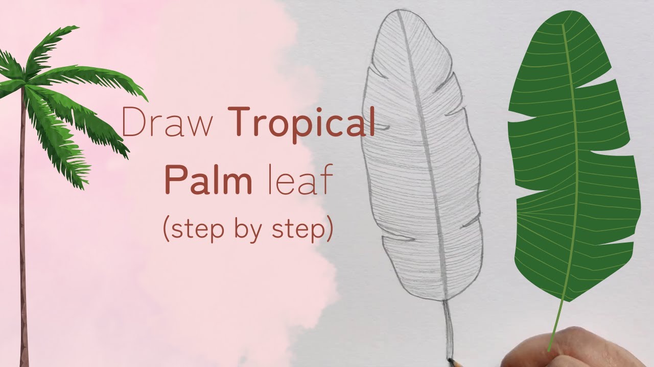 Draw a tropical palm leaf step by step | Easy leaf drawing