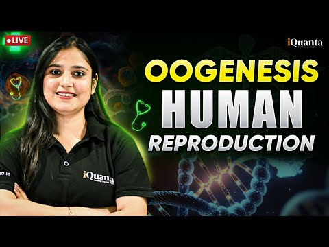 Master Oogenesis in One Shot | Class 12 Human Reproduction | NEET Prep