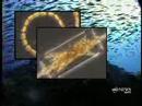 Ocean Acidification