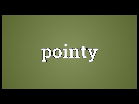 Pointy Meaning