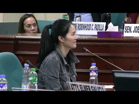 Alice Guo and siblings fled Philippines by boat