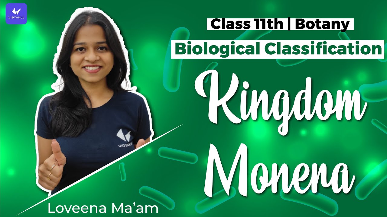 Kingdom Monera Class 11 | Biological Classification | Class 11 Botany | CBSE 2022-23 | Loveena Ma'am