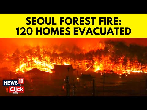 Forest Fire In Central Seoul Forces Evacuation Of 120 Homes | Smoke From Fire Captured On Video
