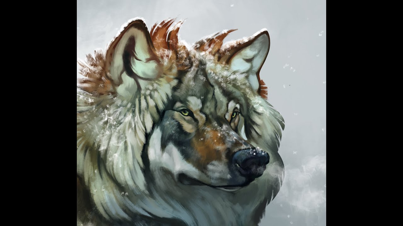 Wolf sketch timelapse