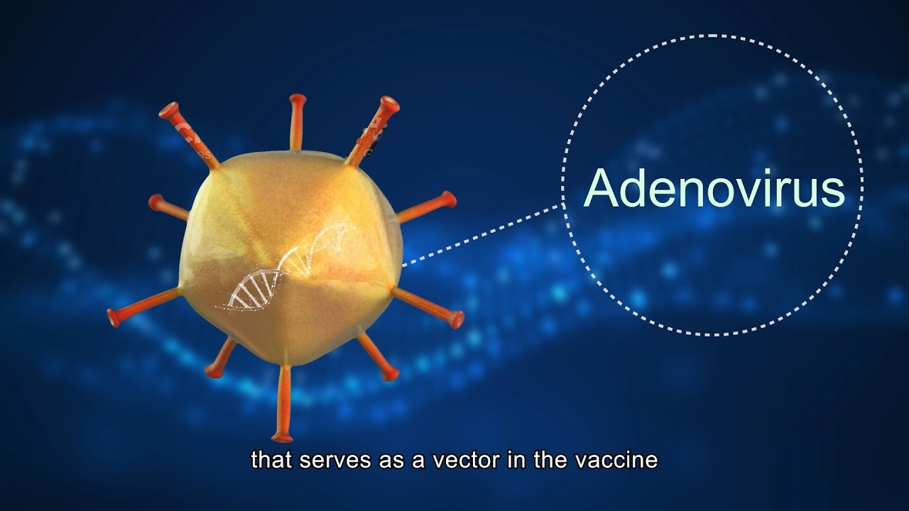 Centre for Health Protection - Education & Media Resources