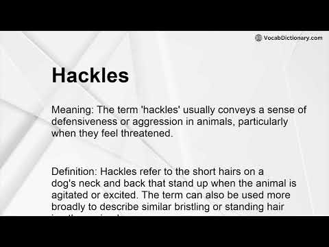 Hackles Meaning