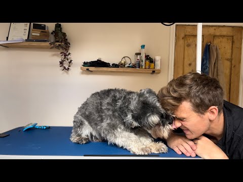 THIS DOG HAS SERIOUS ISSUES