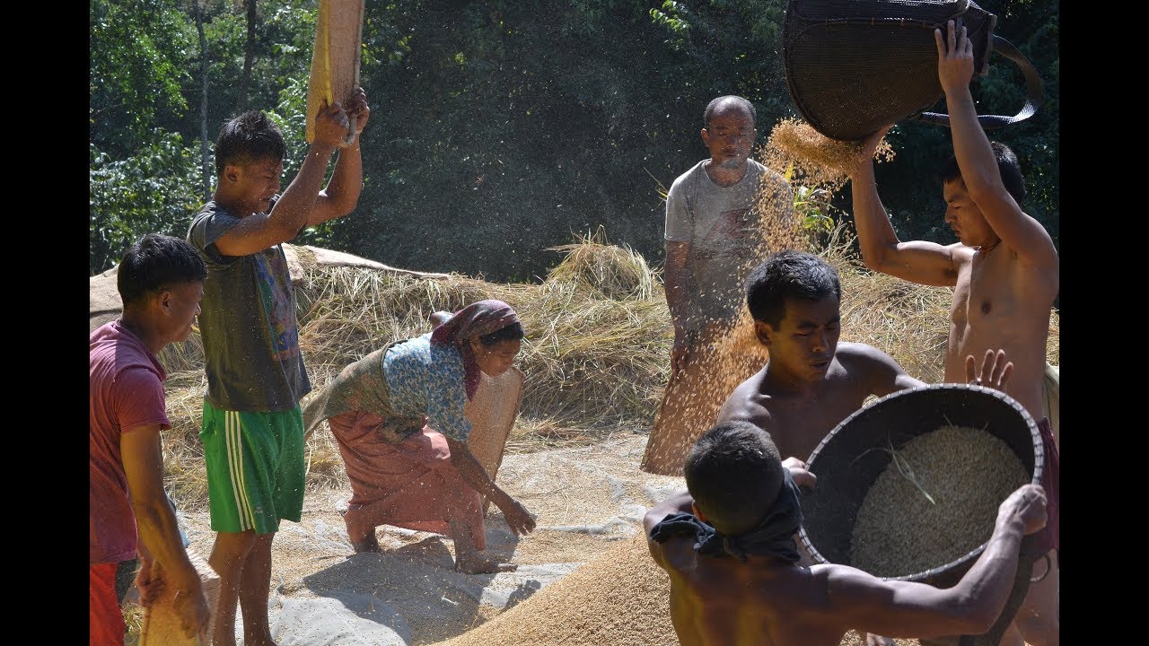 IDFA 2017 | Trailer | Up Down & Sideways