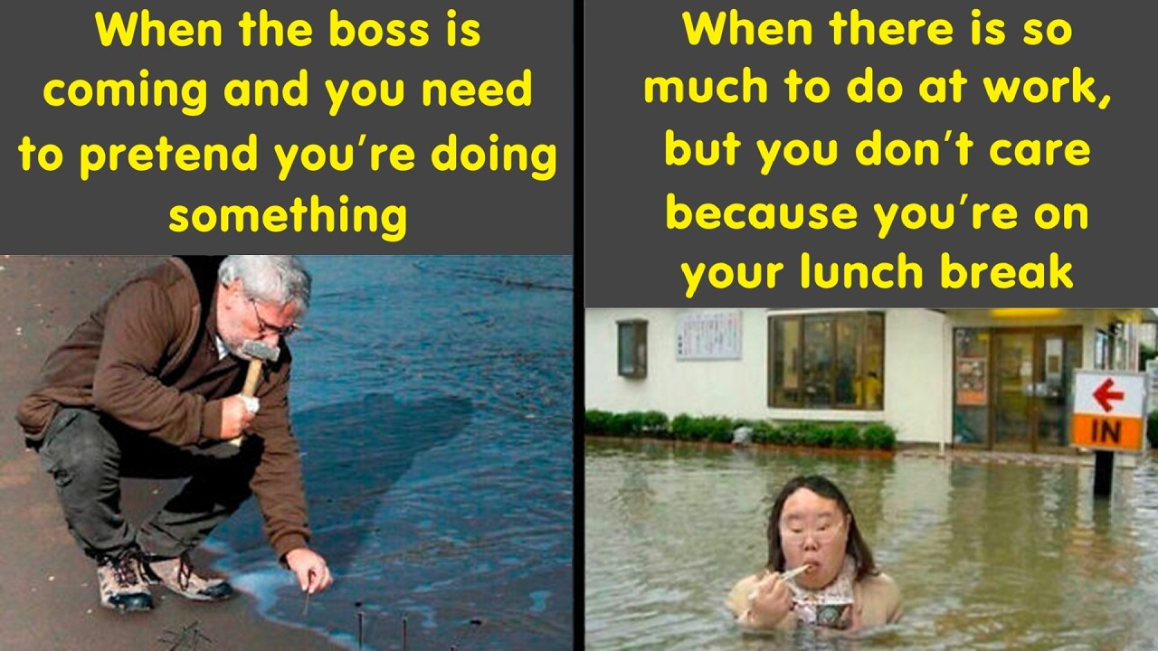 Work Memes That Make You Question Your Job 😂 | Humor Sweet