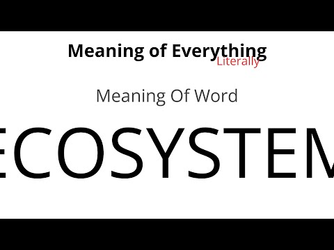 Meaning of Word - Ecosystem Meaning