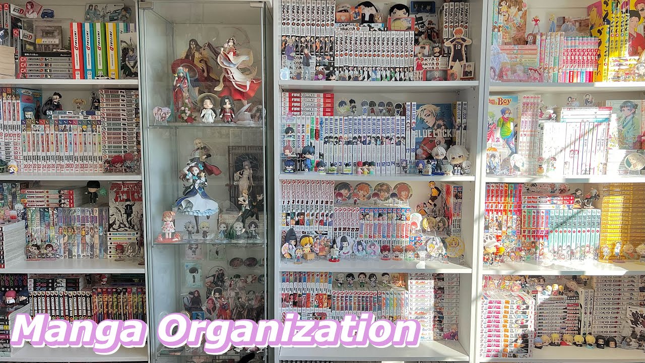 Organizing My Manga Collection 🎧