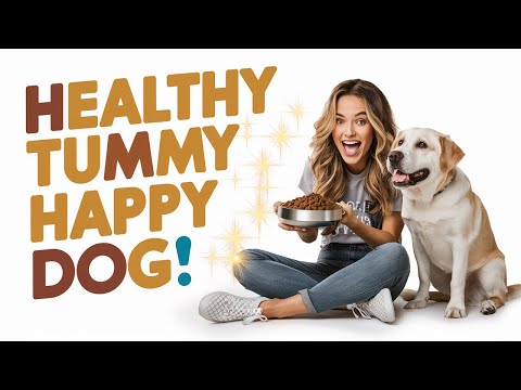 🌟 Miracle Diet? Best Food for Dogs with Sensitive Stomach Exposed! 🐶💖