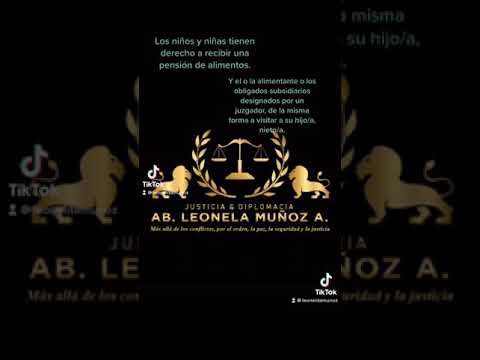 Pensiones de alimento - Justicia & Diplomacia