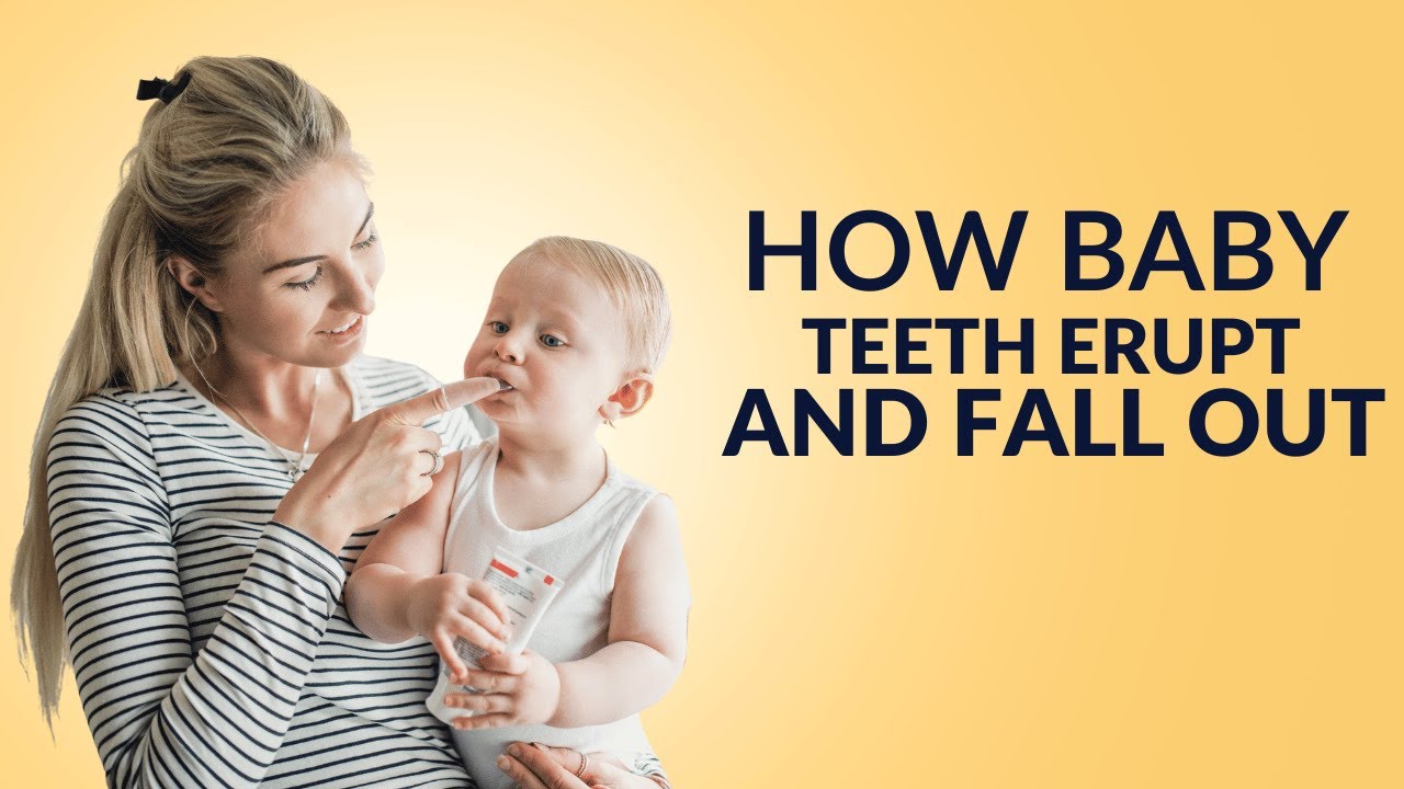 How Baby Teeth Erupt and Fall Out (3 Tooth Care Tips)