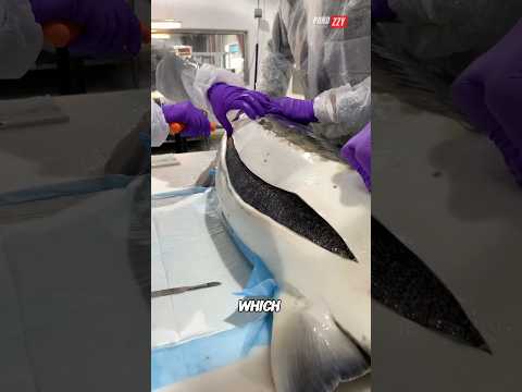 The process of taking fish eggs or caviar‼️😱
