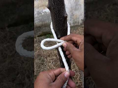 1 Knot Mostly Used In Our Everyday Life π#knot #rope #knottying