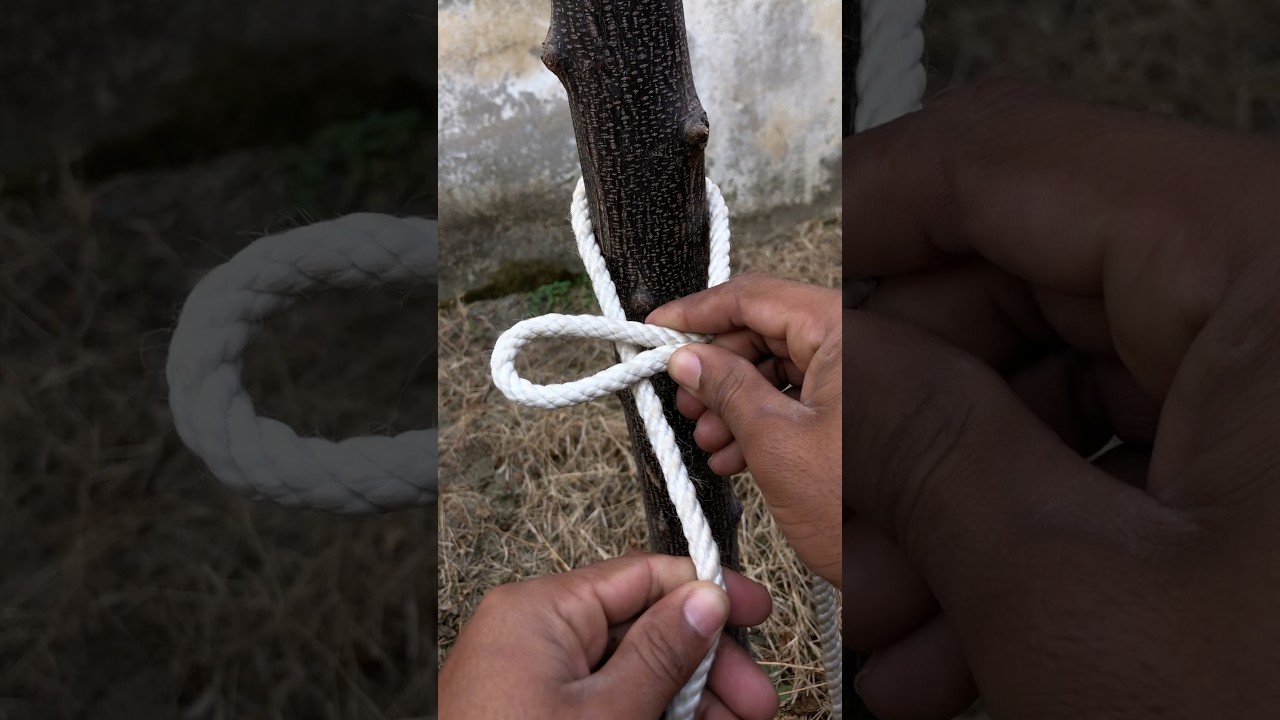 1 Knot Mostly Used In Our Everyday Life 👍#knot #rope #knottying