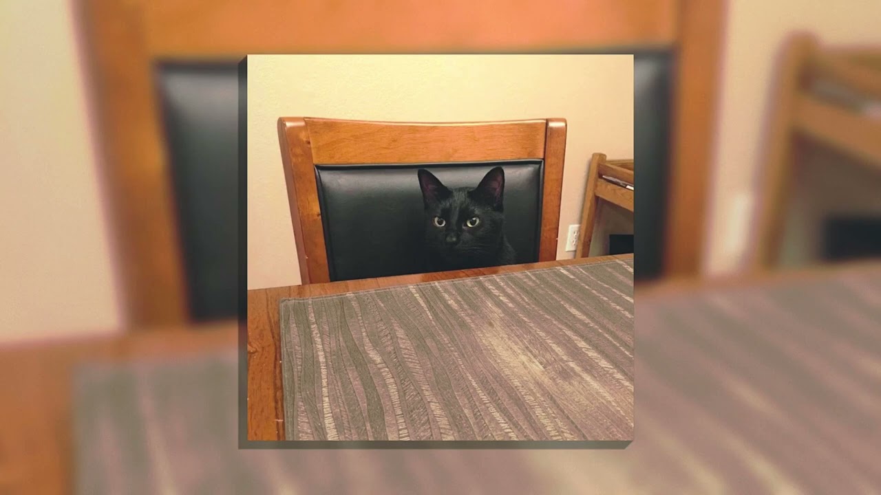 Tom’s Diner - Suzanne Vega (sped up/nightcore)