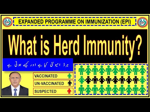What is Herd Immunity?| Herd Immunity | In Urdu Language