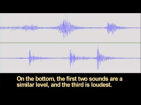 Click clack, gun rack wack | whonoze