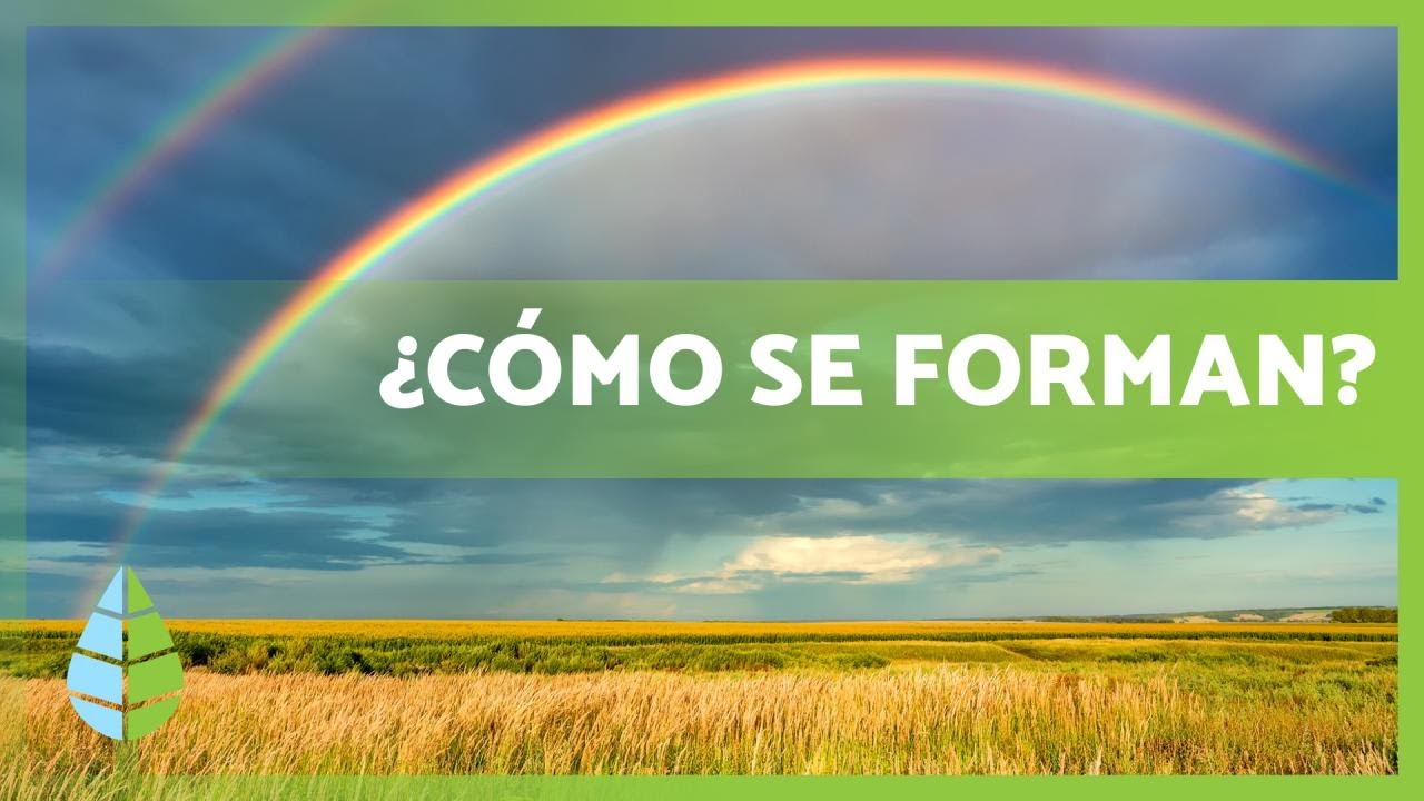 What is a rainbow? 🌈 How it forms and what types of rainbows there are