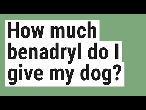 How much benadryl do I give my dog?