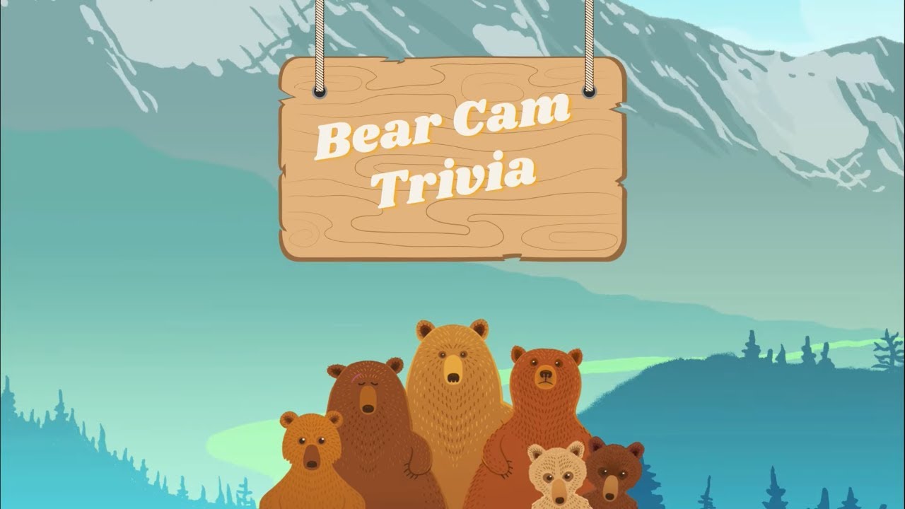Katmai Bear Cam Trivia! 20 Questions to Test Your Bear Knowledge!
