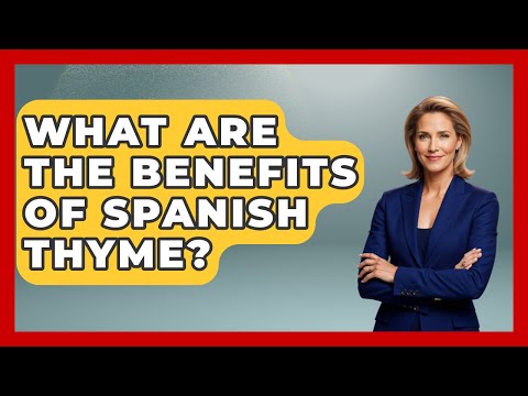 What Are The Benefits Of Spanish Thyme? - The Caribbean Expert