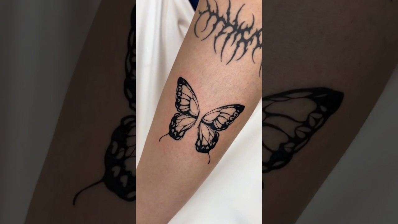 Tatuagem borboleta #tatuagem #portifolio #tatuagemfeminina #tatuagemborboleta