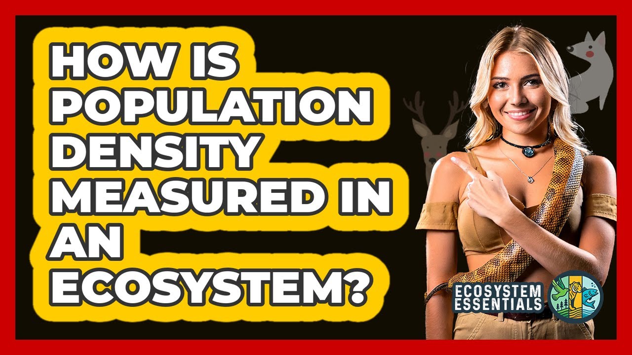 How Is Population Density Measured in an Ecosystem?