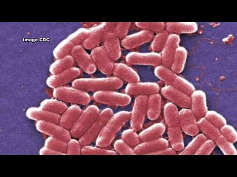 Healthcare-Associated Infections and Microbial Pathogens: Part 1
