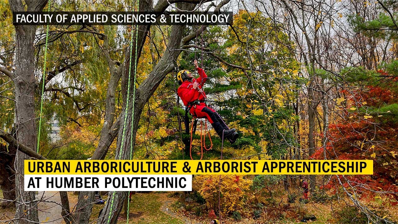 Urban Arboriculture & Arborist Apprenticeship at Humber Polytechnic