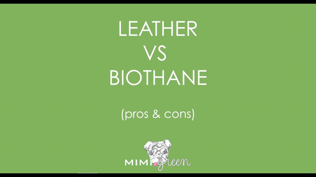 Leather vs Biothane Pros vs Cons for Dog Collars