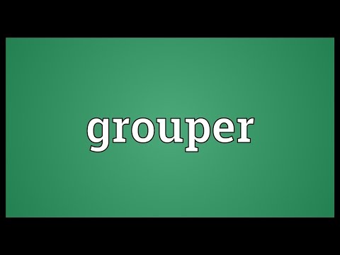 Grouper Meaning