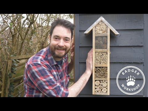 Making an Bug House / Hotel