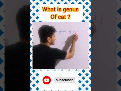 what is genus of cat
