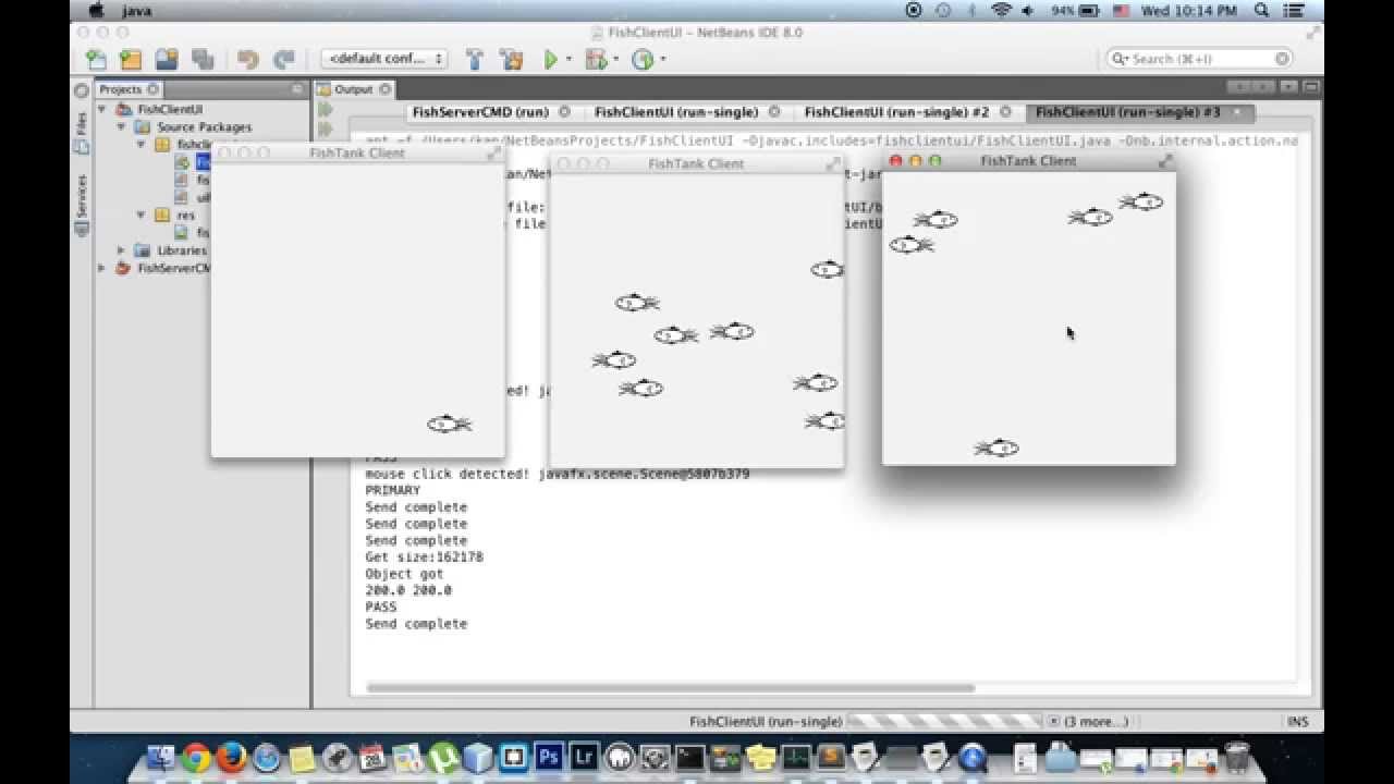 FishTankDemo Java Socket programming