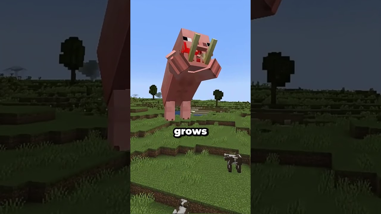 This pig will eat all the mobs and turn into a giant #minecraft